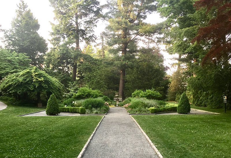 Stunning Transformations: Before & After Landscape Makeovers